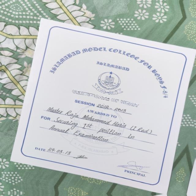 IMCB - Certs - Segmentation Instance Segmentation Dataset by Bekaar Workspace