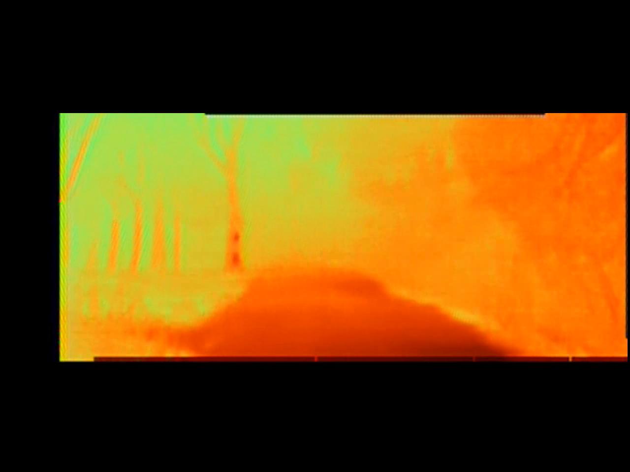 hum_ann Object Detection Model by humanann