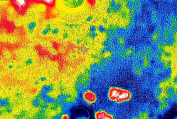 Bird Project (Thermal) 2 Object Detection Dataset by Bird Project with ...