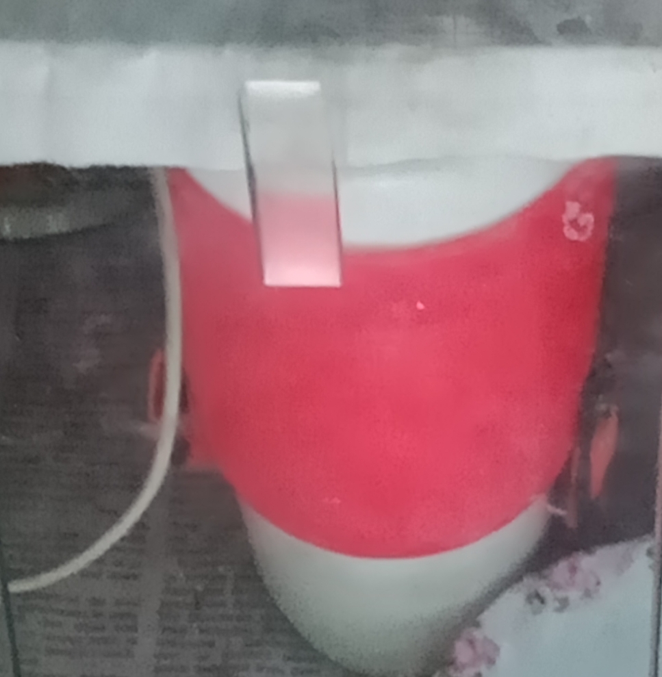 bottle-val Object Detection Dataset by Estella Guo