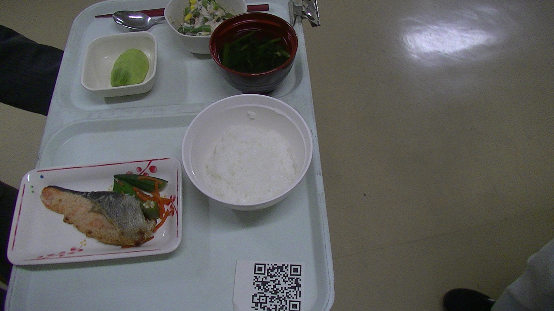 segment_hospital Instance Segmentation Model by test