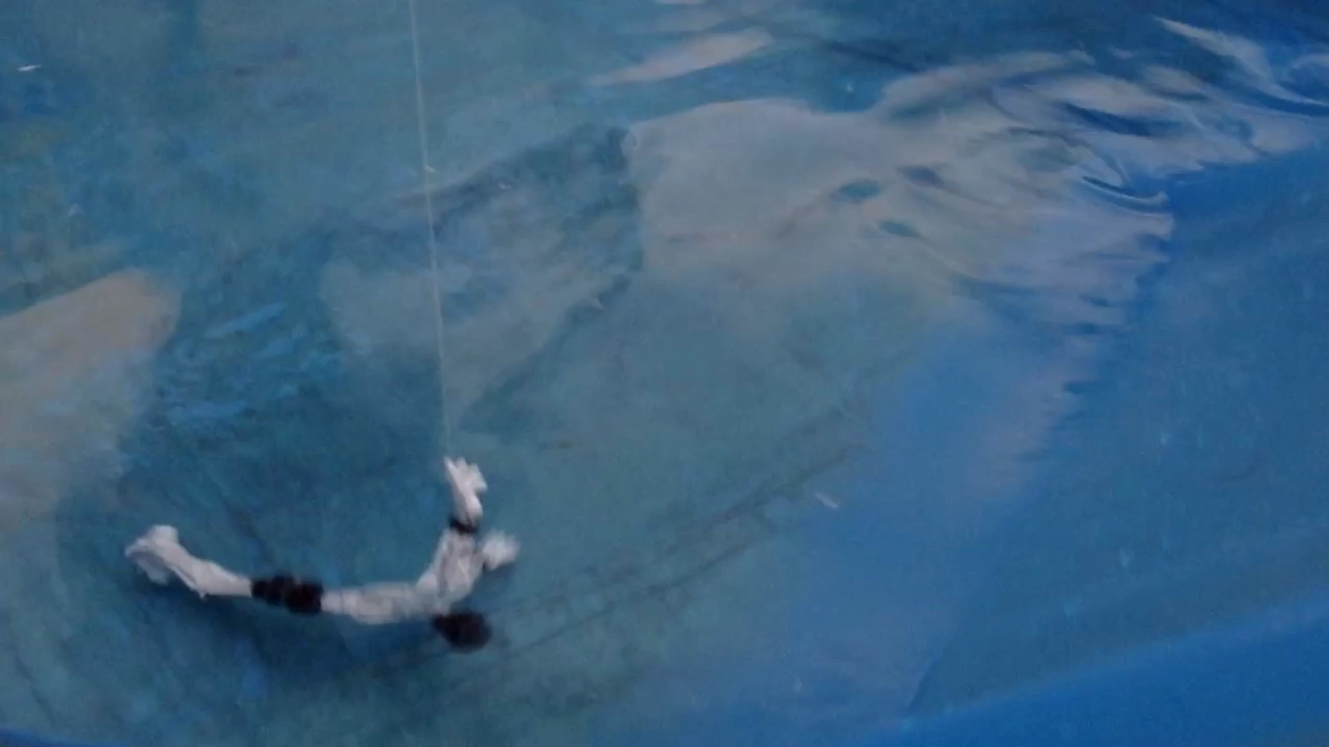 drownDummy Object Detection Dataset by Drowning dummy