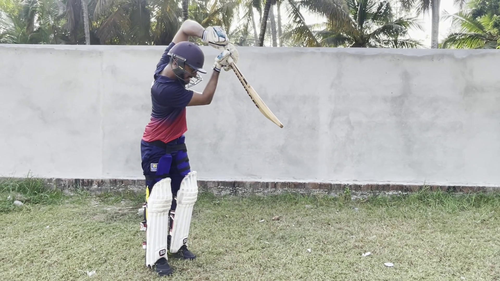 Research Bat Detection Object Detection Model By Research