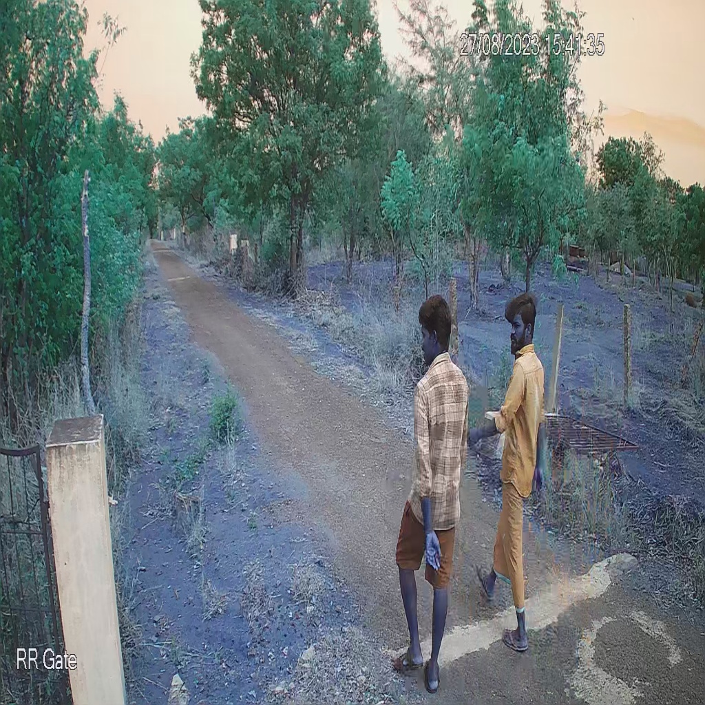 26 08 2023 Object Detection Dataset By Elephants