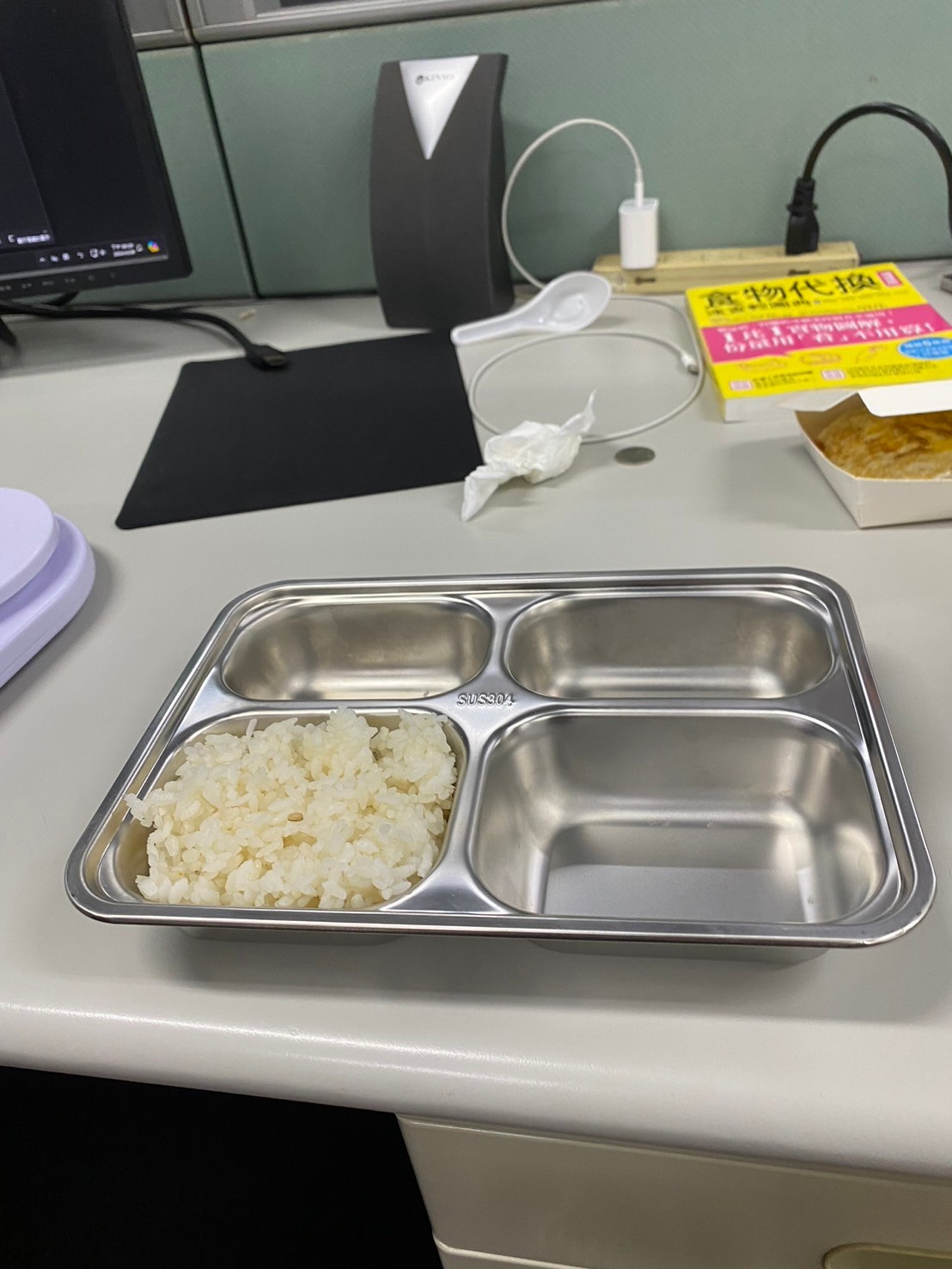 iron_plate Instance Segmentation Dataset by yolo food seg