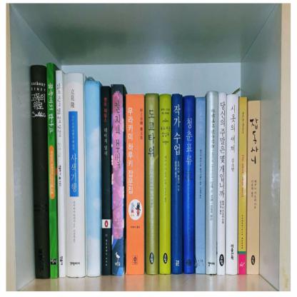book Object Detection Model by yrden