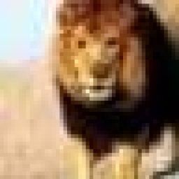 Animal detection Object Detection Dataset and Pre-Trained Model by Work