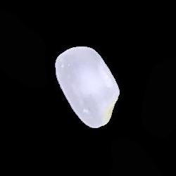 rice-classification Classification Model by rmutl