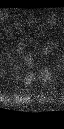 Zebrafish CNN Classification Dataset and Pre-Trained Model by Sias