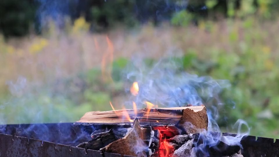 phat hien chay bang ai Object Detection Dataset and Pre-Trained Model ...