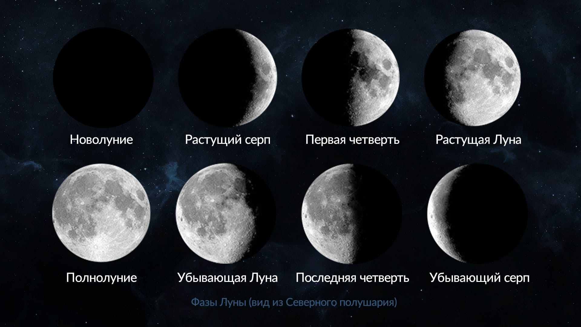 phases of the moon Object Detection Dataset by iimm