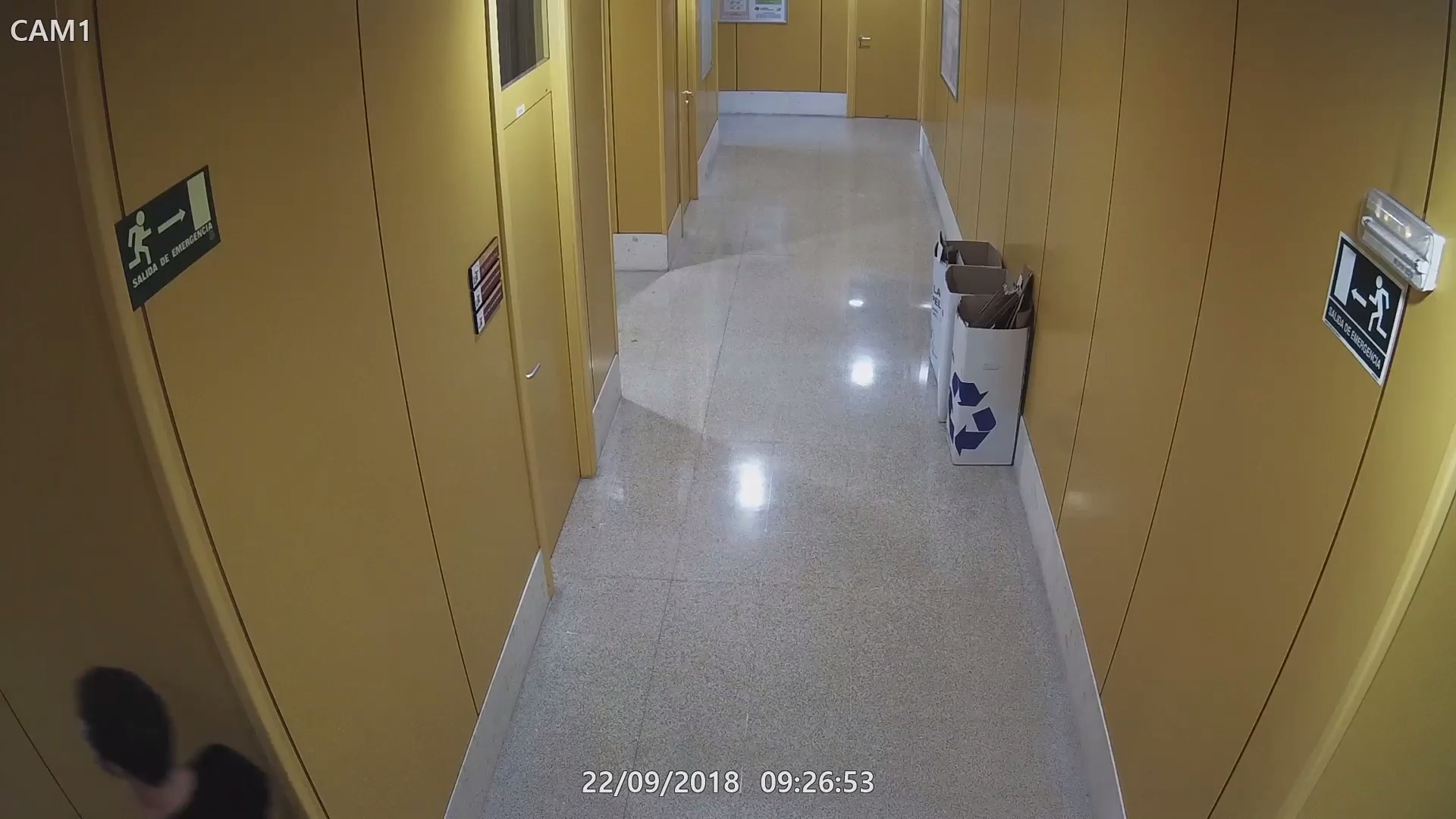 Guns and Rifles 2 Object Detection Dataset by new-workspace-rsirs