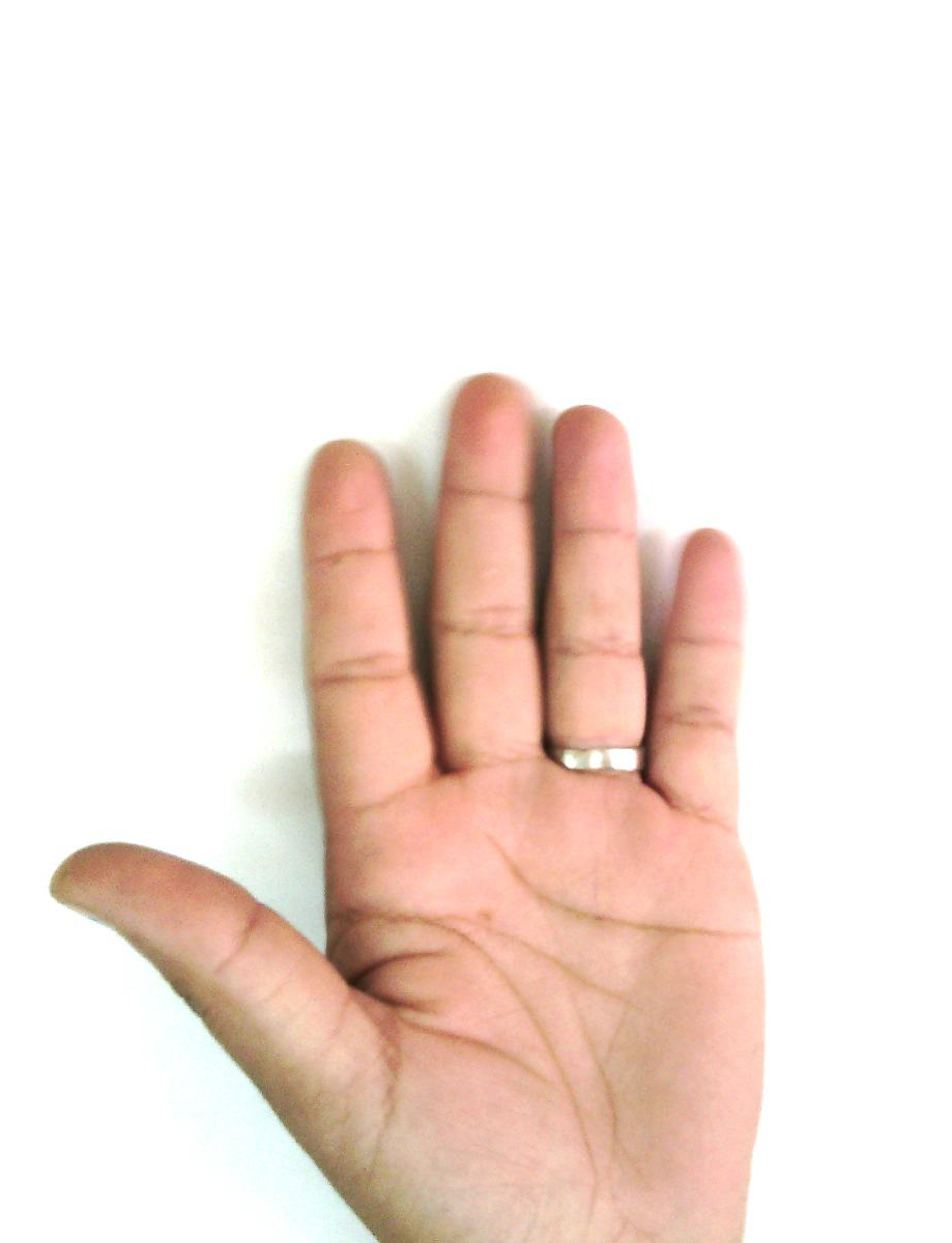 Astro Keypoint Detection Dataset and Pre-Trained Model by handdet