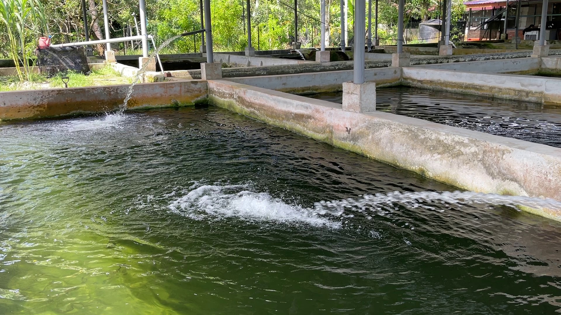 site Object Detection Dataset by capstone