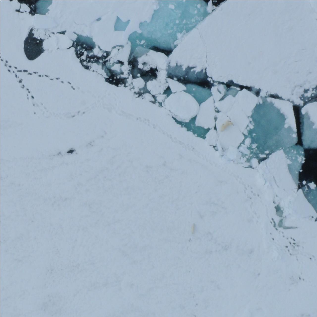 rrr2 Object Detection Dataset by momomo