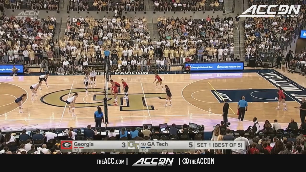 Volleyball Player Detection Object Detection Dataset And Pre Trained Model By Vip Volleyball