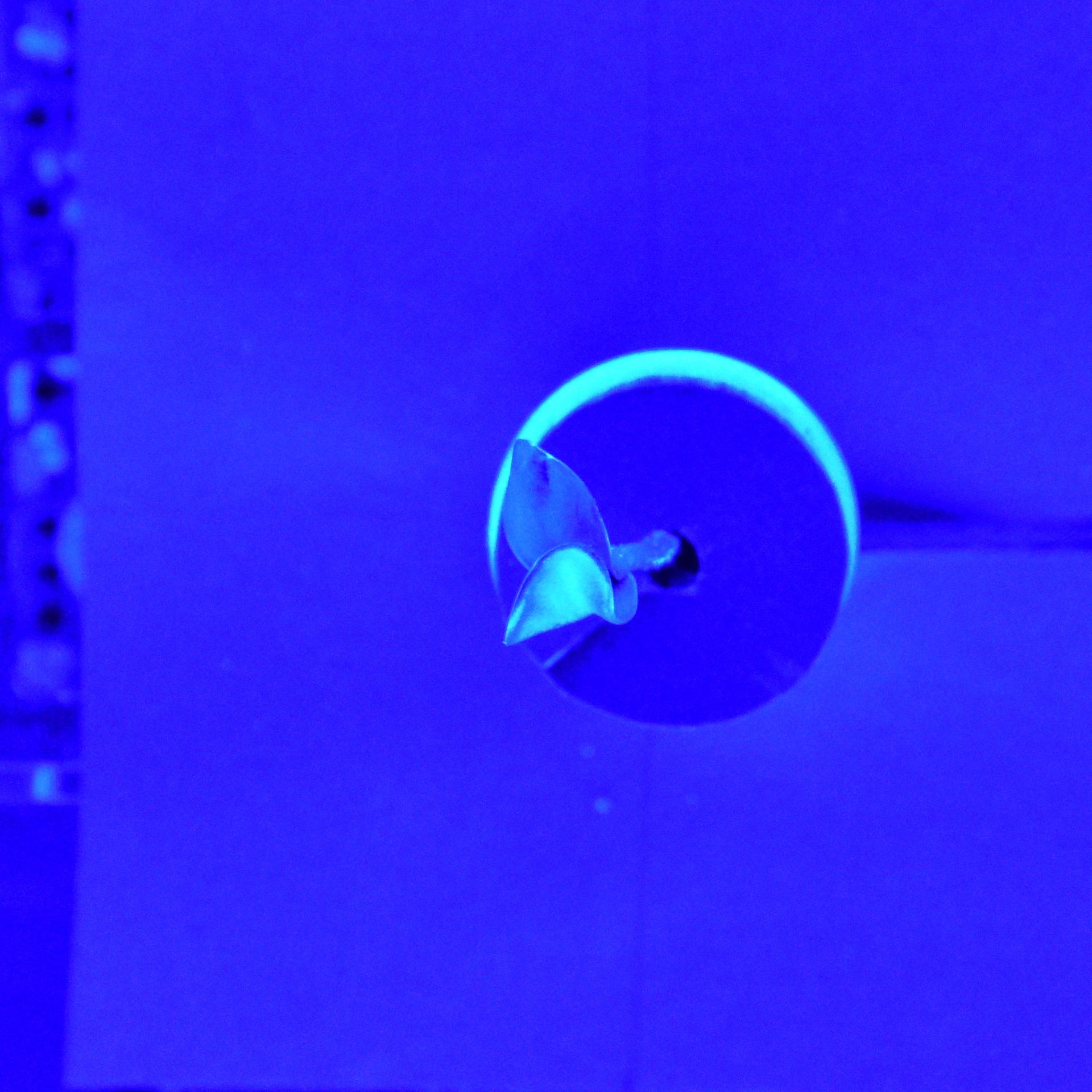 leaves_semantic Semantic Segmentation Dataset by testing roboflow