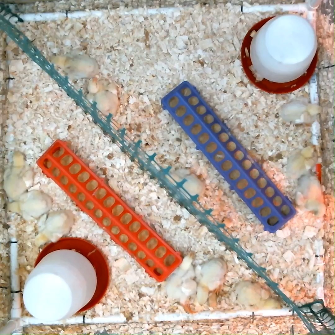 Temp Object Detection Dataset and Pre-Trained Model by MEng Project