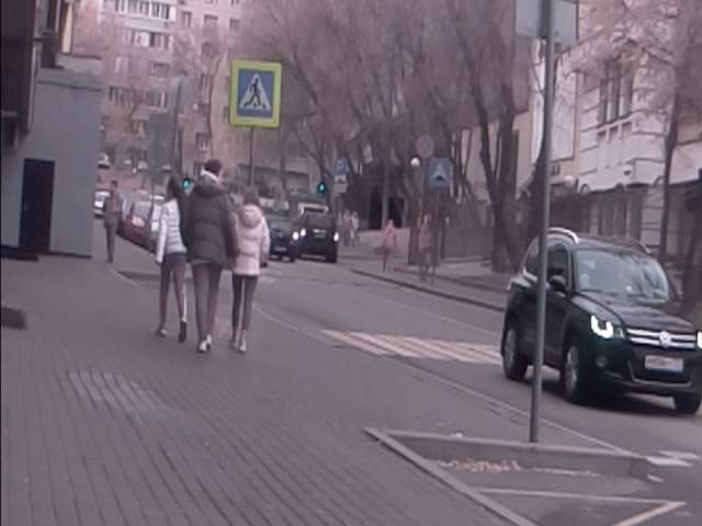 zebra Object Detection Dataset by cards