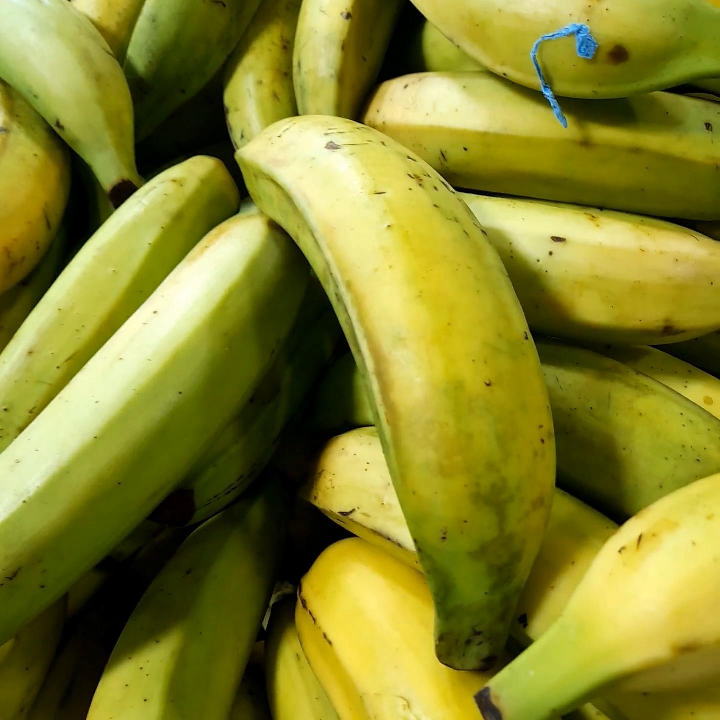Banana Detection Sv3 2 Object Detection Dataset And Pre Trained Model