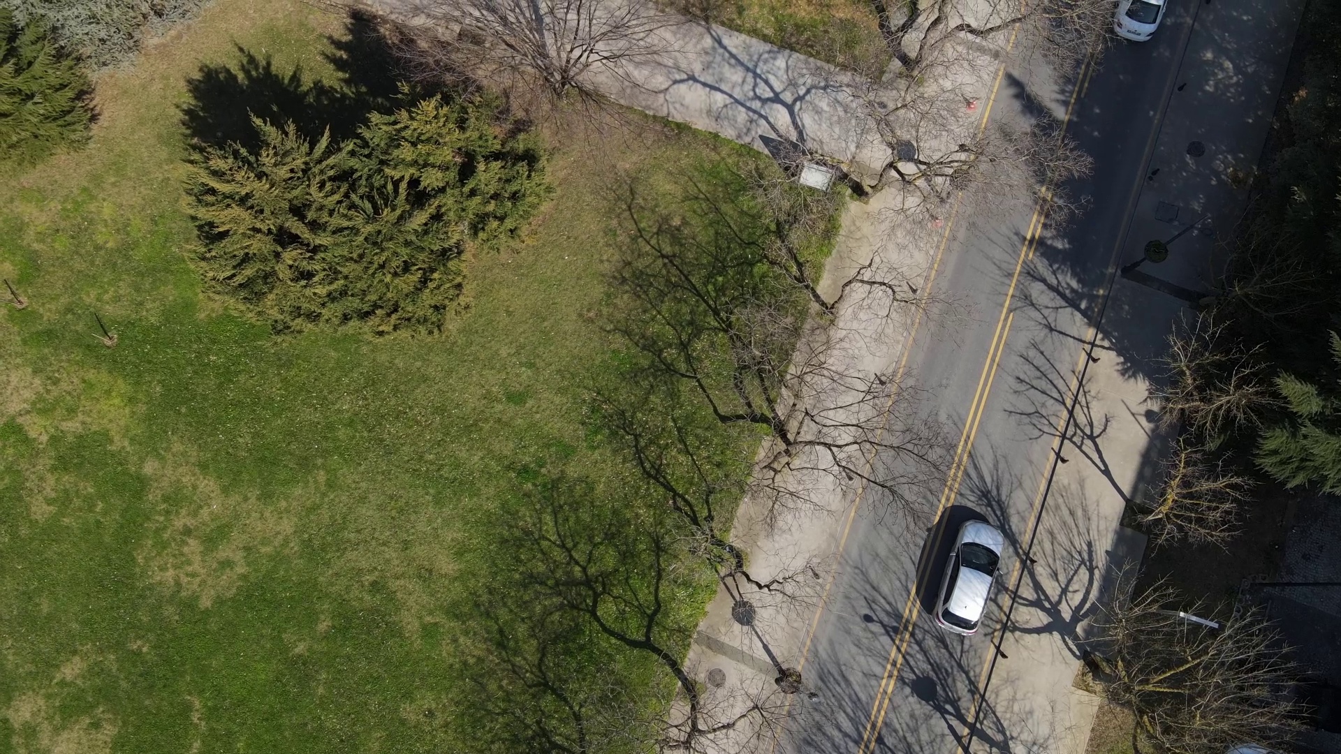 Bongo2 Object Detection Dataset by new-workspace-r9afm