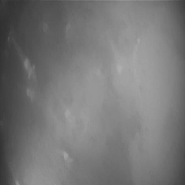 Shrimp Object Detection Model By Shrimp