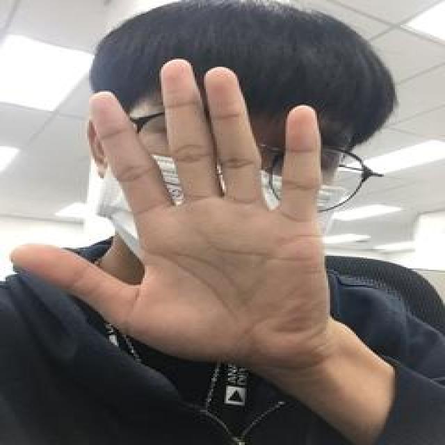 palmprintsample Instance Segmentation Model by Hello