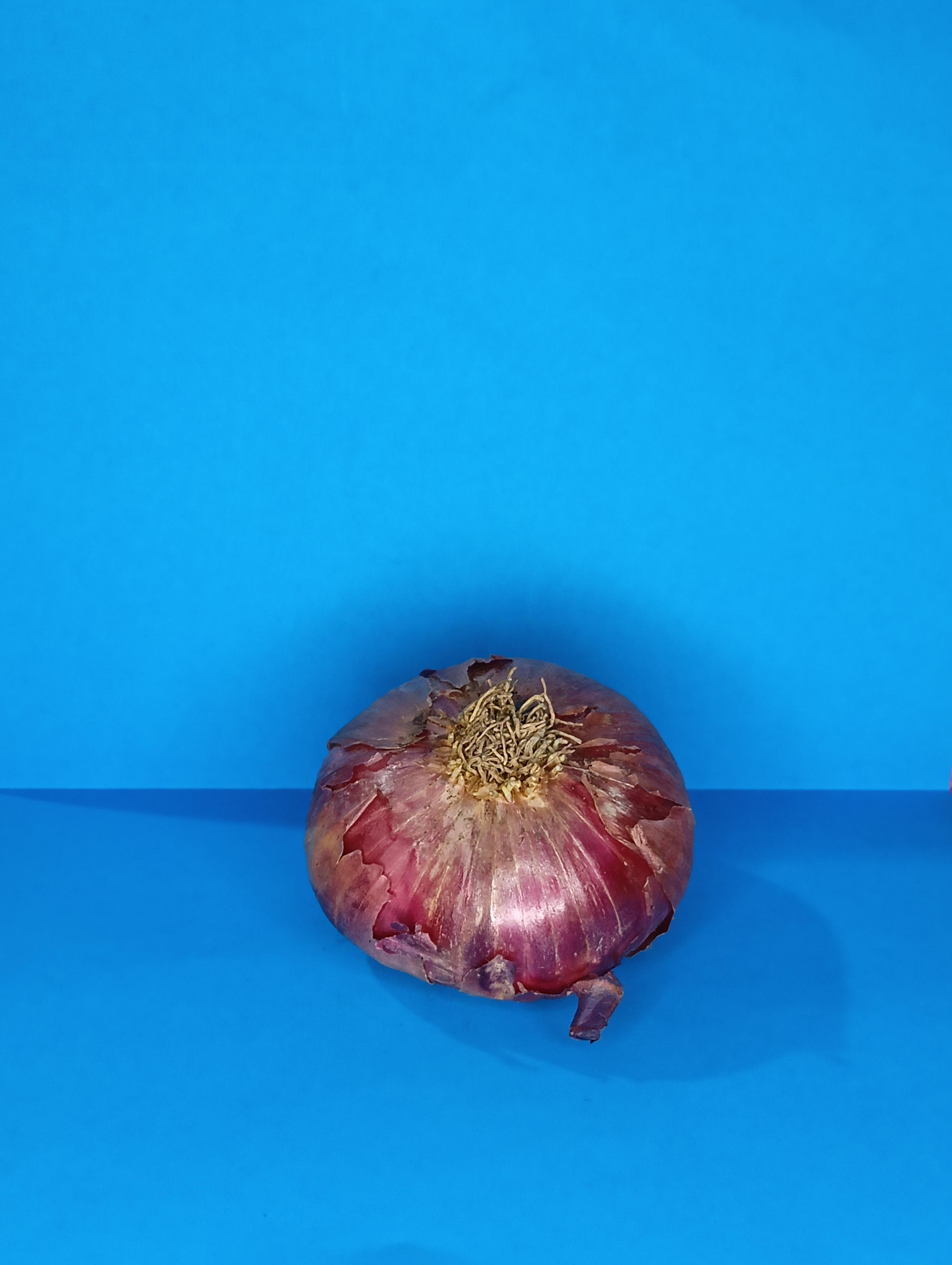 Onion Sorting Object Detection Model by project