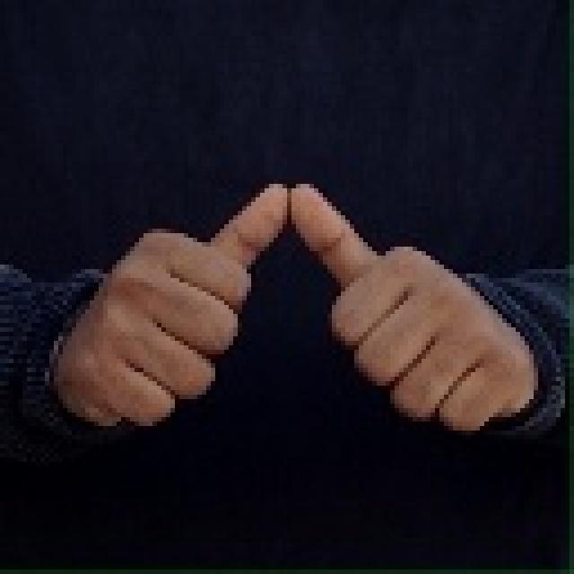 sign language Object Detection Dataset and Pre-Trained Model by work