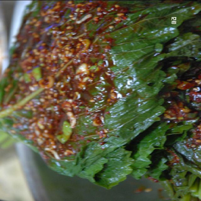 perillaleafdetection Object Detection Dataset by kyonggi