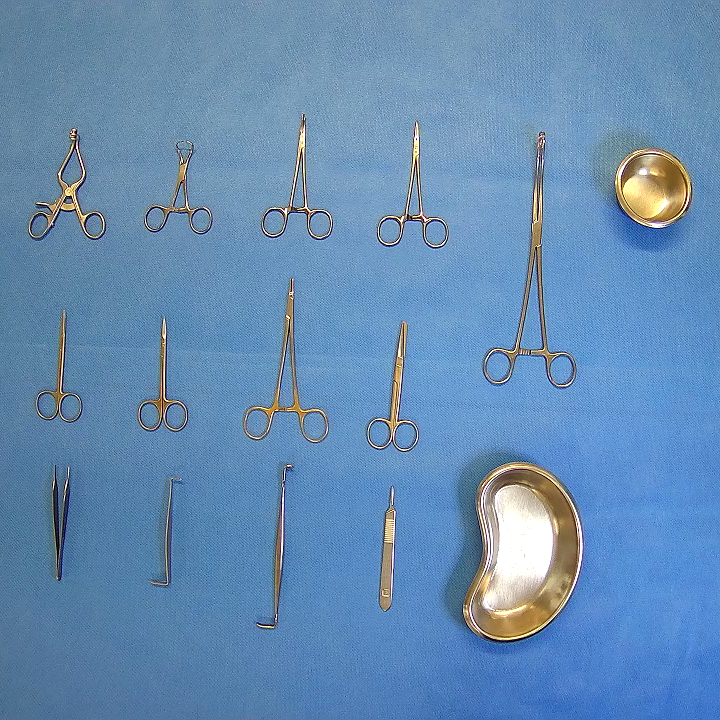 Ortho Test Object Detection Dataset By Phetladaphon