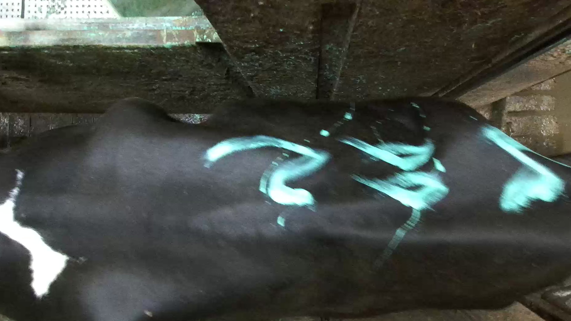 bcs Object Detection Dataset by bcs