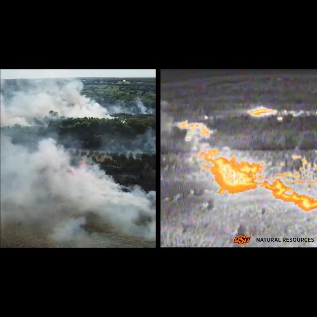 Wildfire Detection Object Detection Model By Waleed Azzi