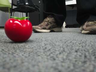 Updated Dataset Final Demo Object Detection Dataset and Pre-Trained ...