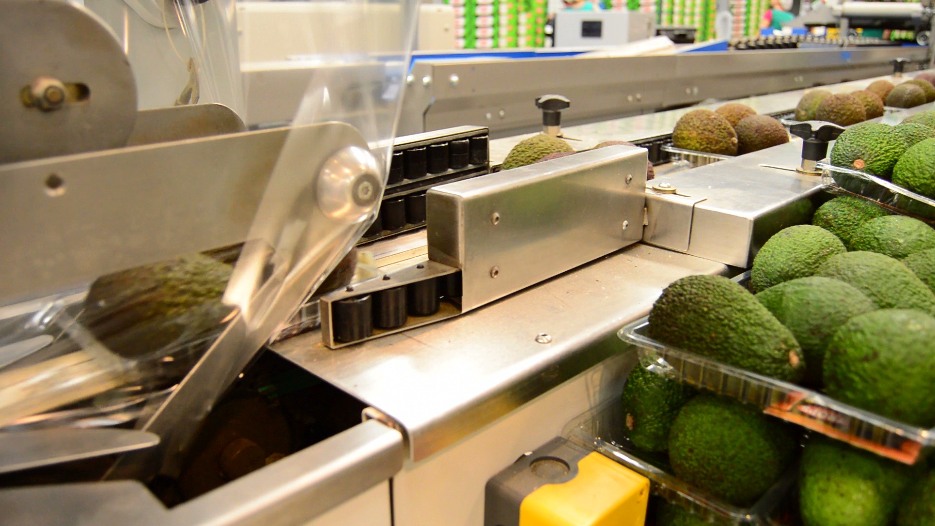 Avocado Package Object Detection Dataset By Musagorpractice