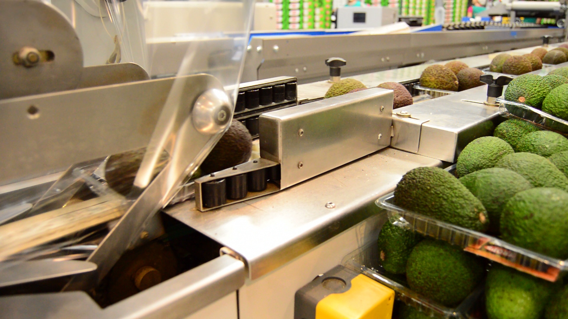 Avocado Package Object Detection Dataset by MusaGorPractice