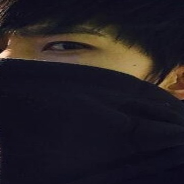 Final Ids Object Detection Dataset And Pre Trained Model By Ids