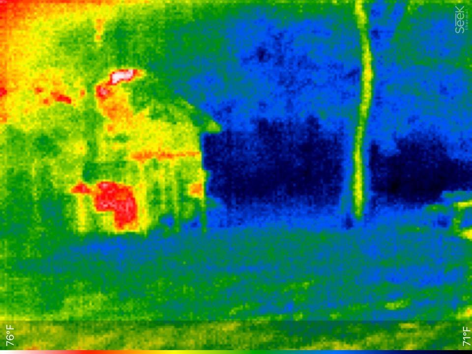 Thermal Detection Object Detection Dataset By Psisquare