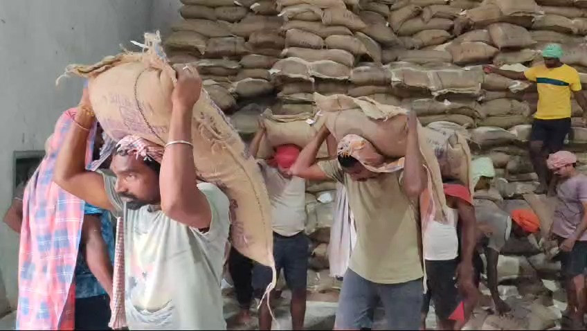 Rice Bag Detection Object Detection Dataset and Pre-Trained Model by PPE