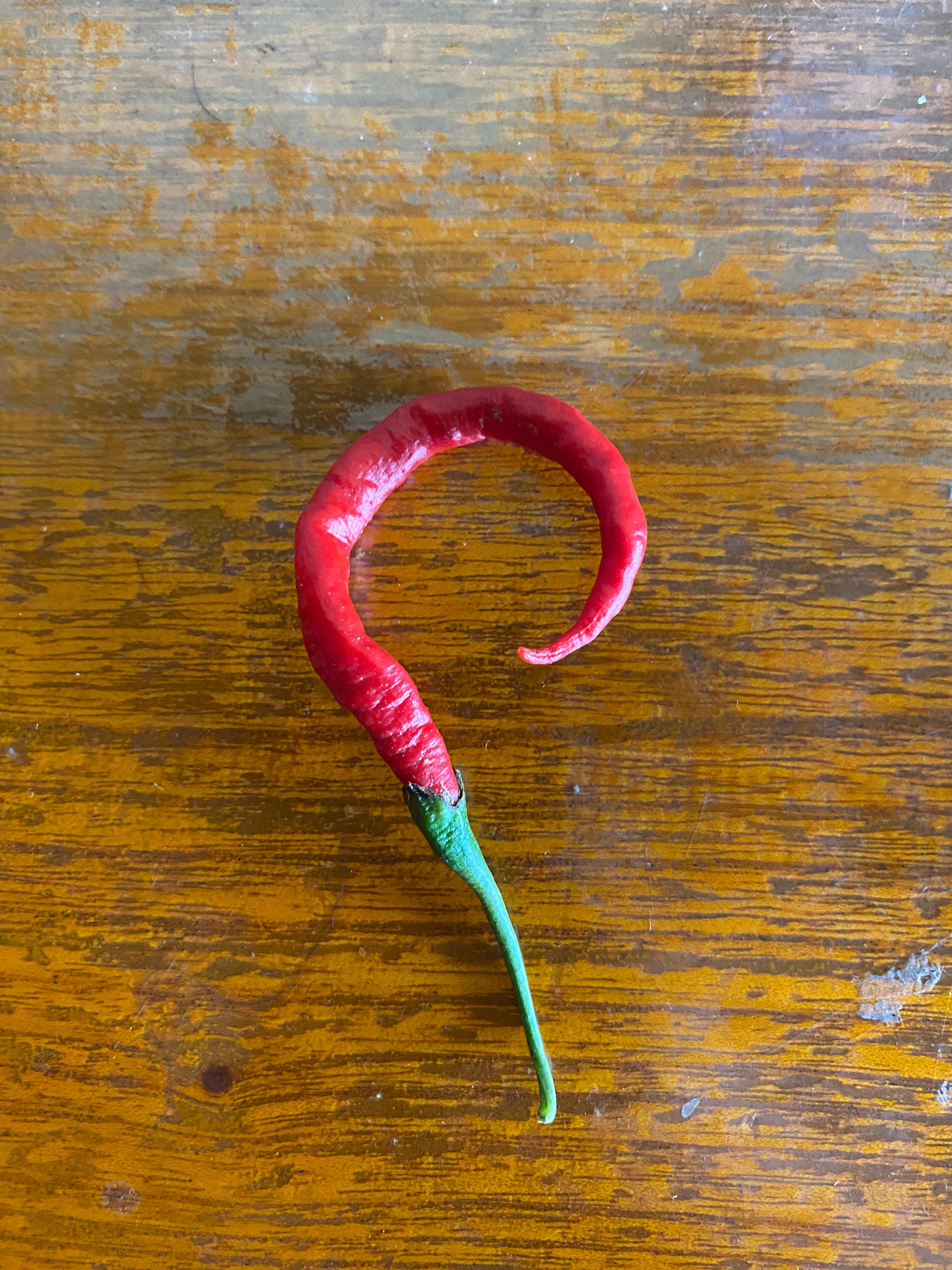 Cabe Object Detection Dataset and Pre-Trained Model by Deteksi Cabe