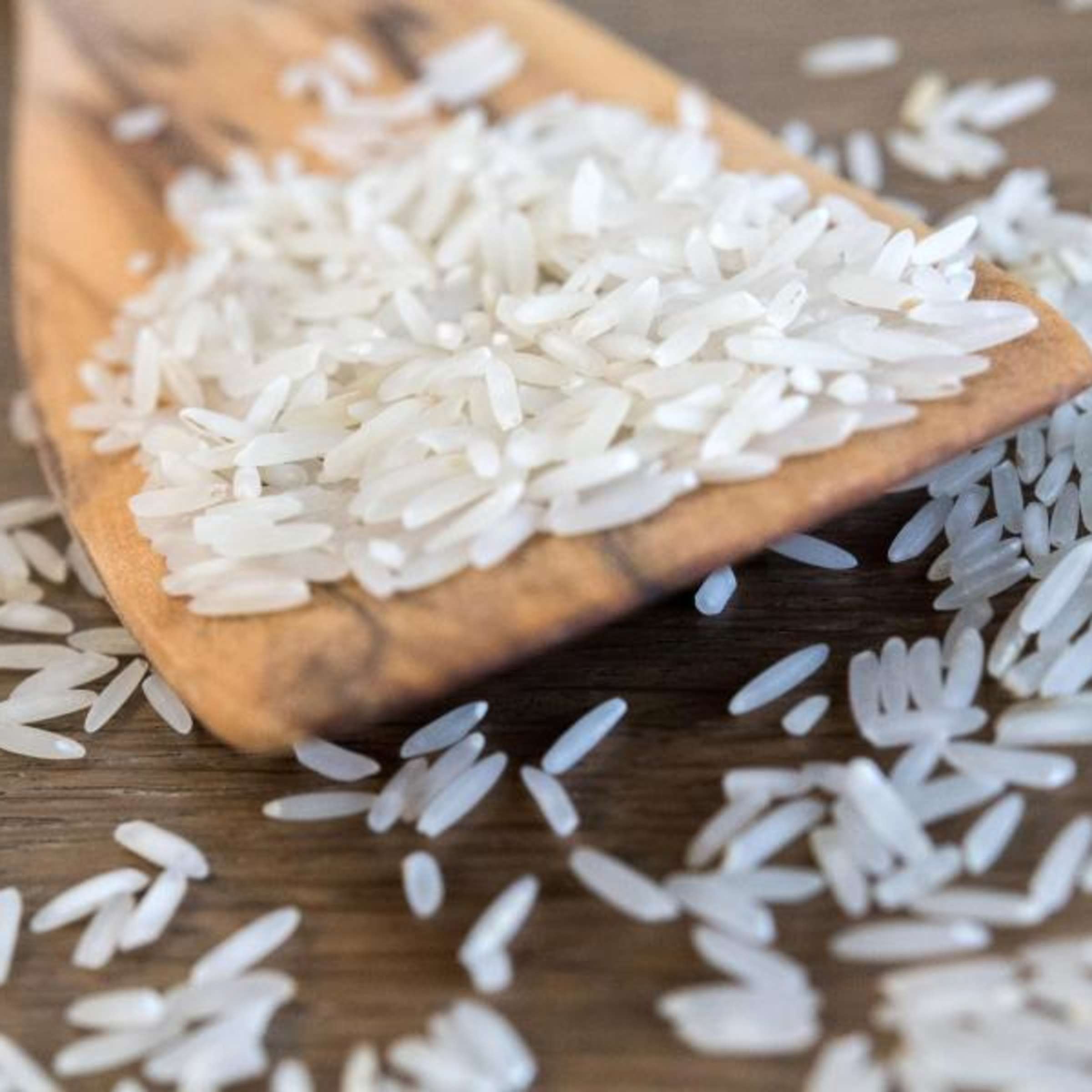 Rice Object Detection Dataset by Julius Müller