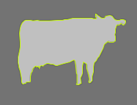 Dairy Cow - Roboflow Universe