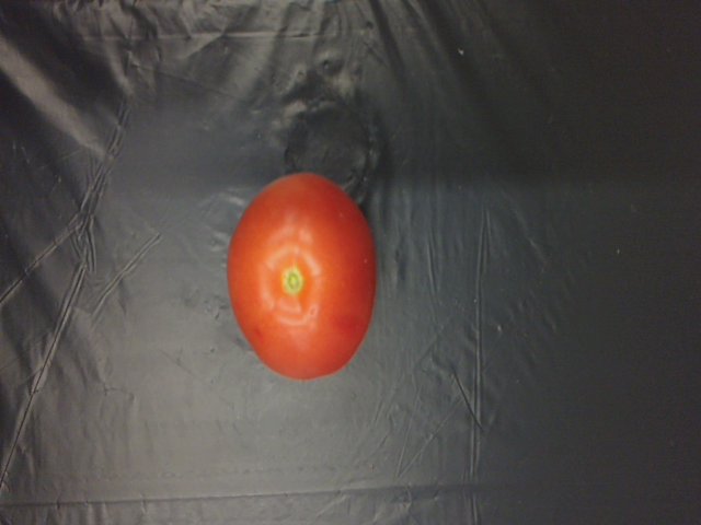 apple Classification Model by Fruit fresh rotten