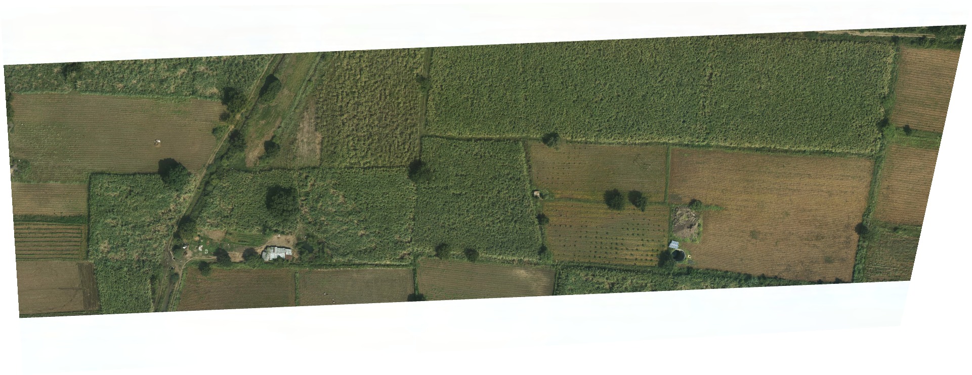 like:timber-noqap/low-vegetation-mapping | Roboflow Universe Search