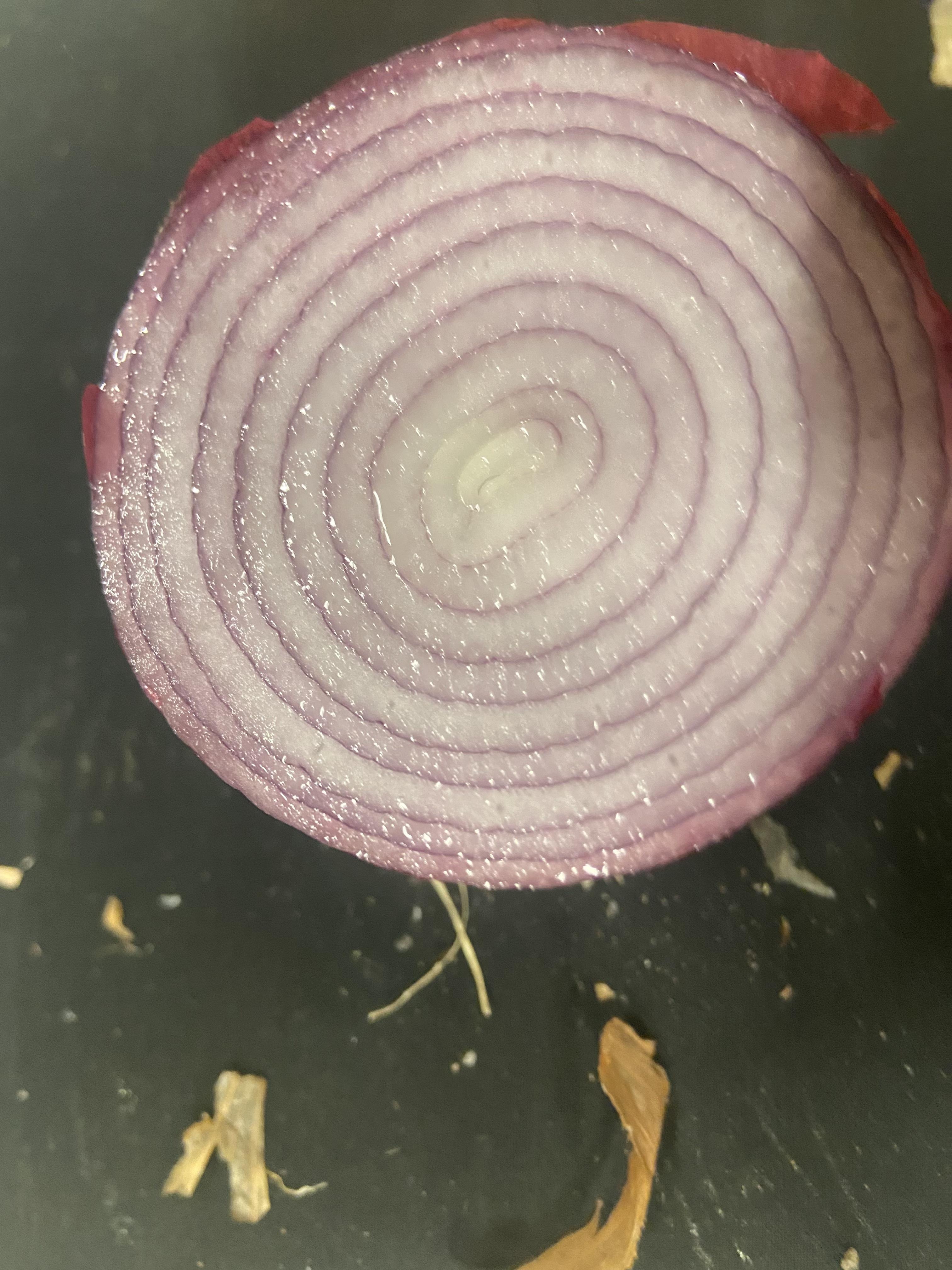 onion layers - Roboflow Universe