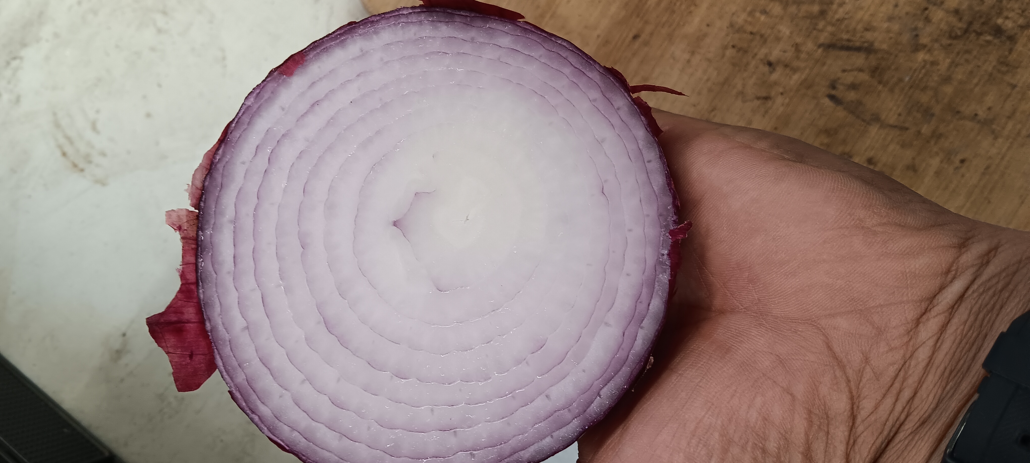 Center onions Object Detection Model by onion layers