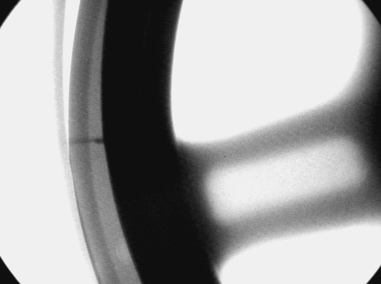 dataset Semantic Segmentation Dataset by wwm