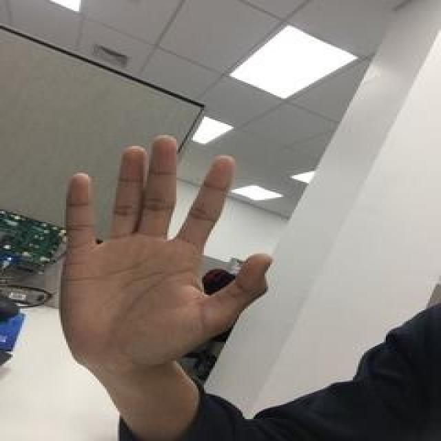 hand Object Detection Dataset by ChalcedonyMilestone