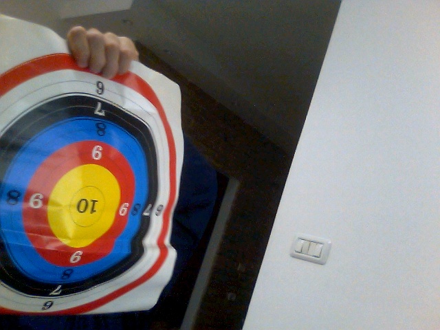 Custom Workflow Object Detection Object Detection Model by nisanopjecttracking