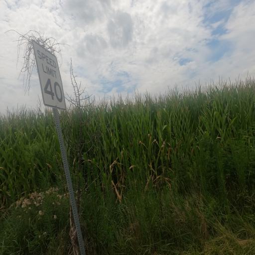 Ivan Zvonkov - Roboflow Universe